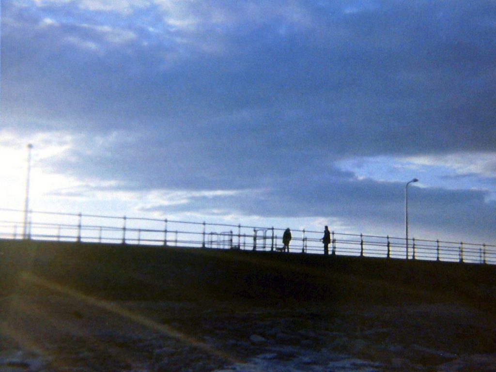 Halina Micro 110 Review - Is it the 110 VUWS ? - Canny Cameras