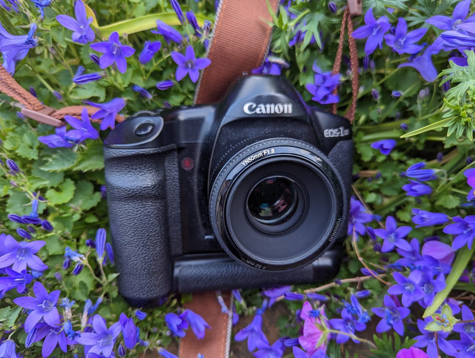 Serious Photog on Budget - Canon EOS-1N Review - Canny Cameras